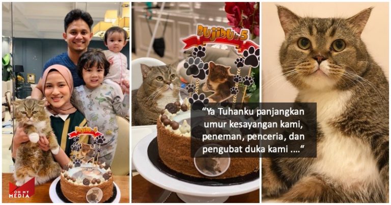 "YaAllah panjangkan umur kesayangan kami..." - Hari jadi ke-5 Bujibu ...